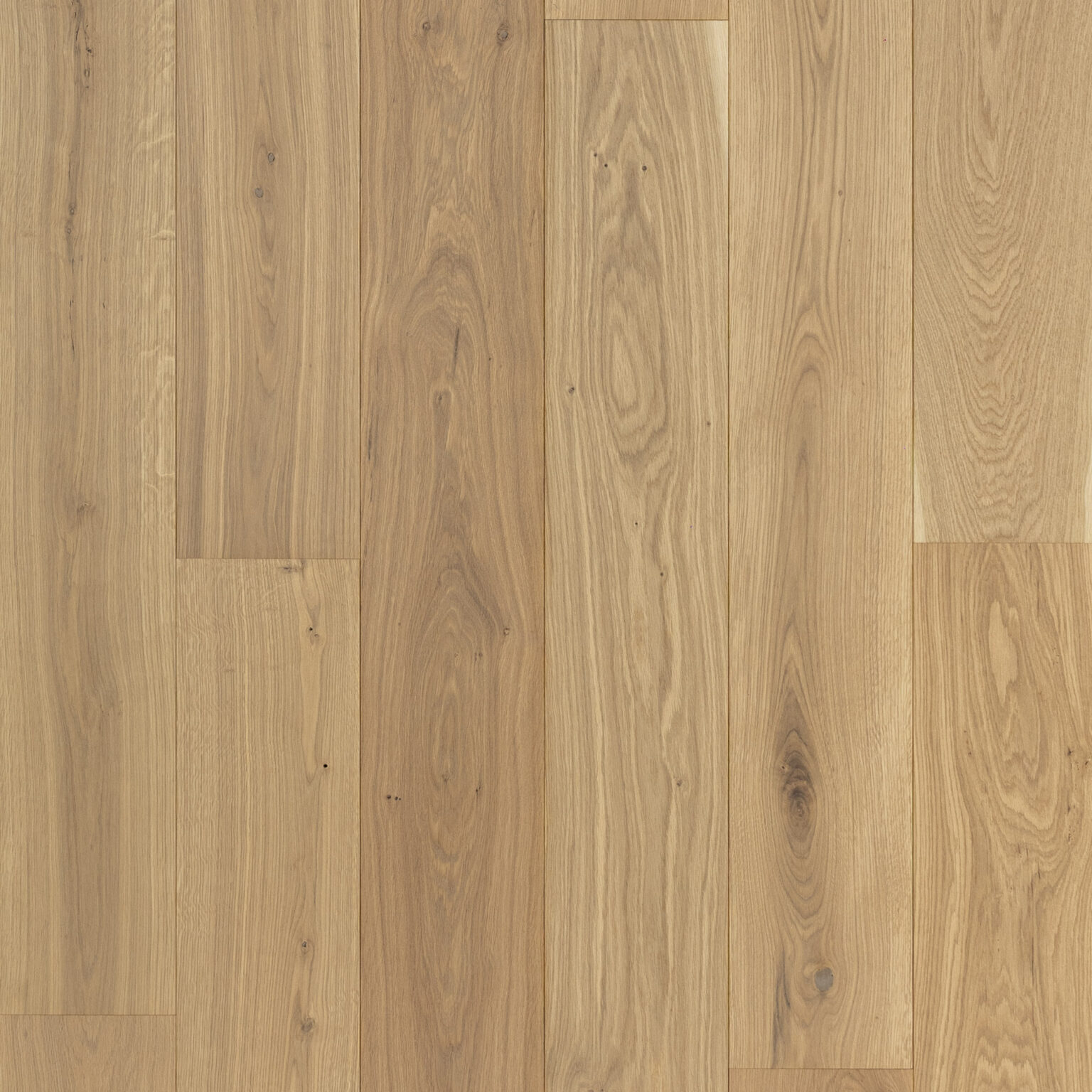 FB+ Wide Plank - FB Hout